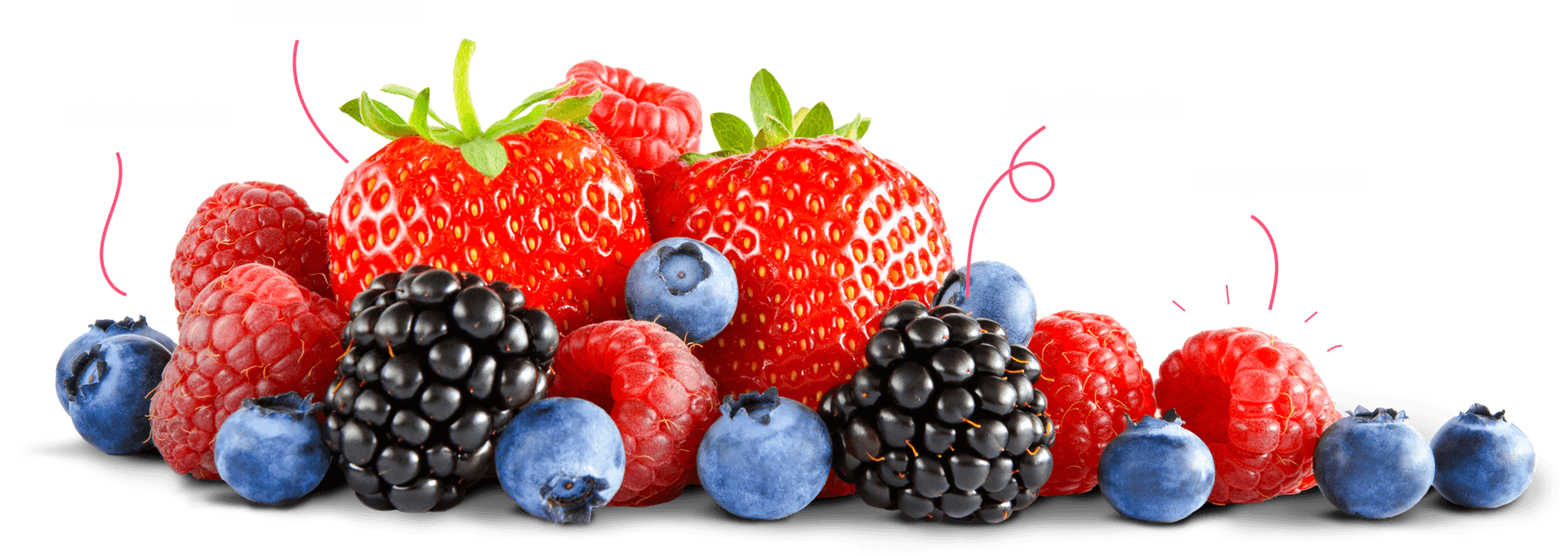 Gem-Pack Berries - Strawberries, Blueberries, Blackberries & More