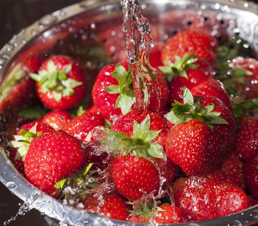 Gem-Pack Berries - Strawberries, Blueberries, Blackberries & More