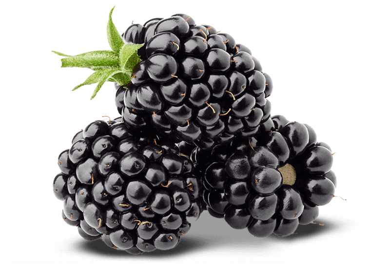 Gems by Gem‑Pack Berries – Premium Strawberries & More