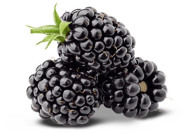 Gems by Gem‑Pack Berries – Premium Strawberries & More