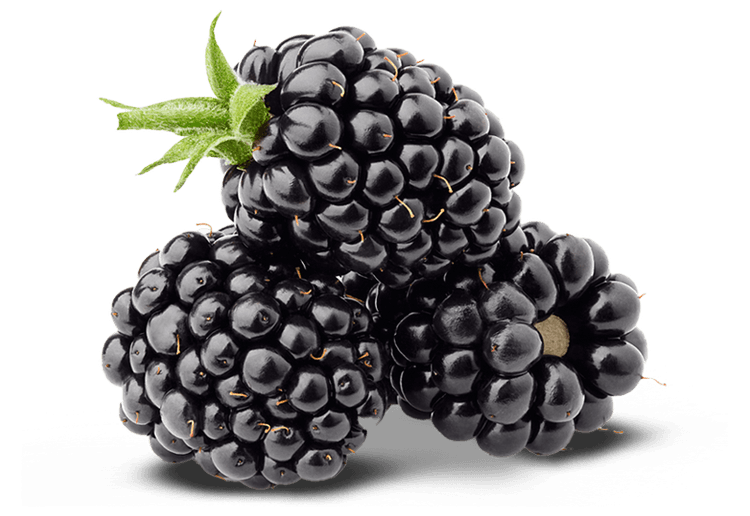 Gems by Gem‑Pack Berries – Premium Strawberries & More