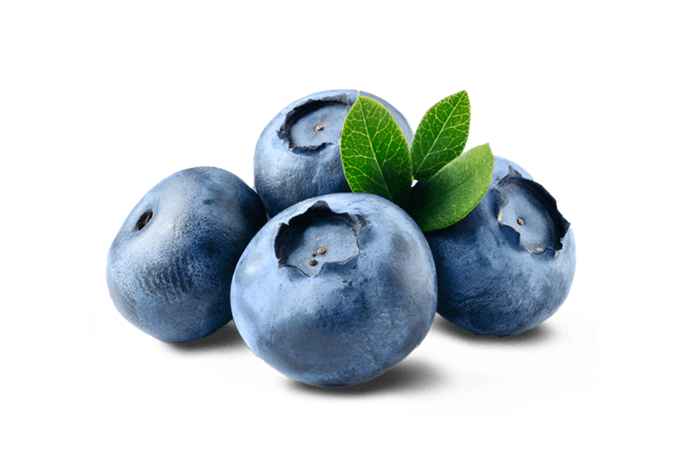 Gems by Gem‑Pack Berries – Premium Strawberries & More