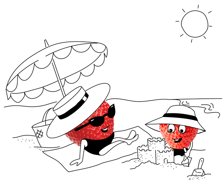 Gem-Pack Berries - Strawberries, Blueberries, Blackberries & More