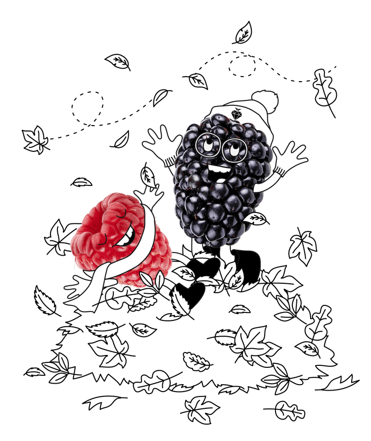 Gem-Pack Berries - Strawberries, Blueberries, Blackberries & More